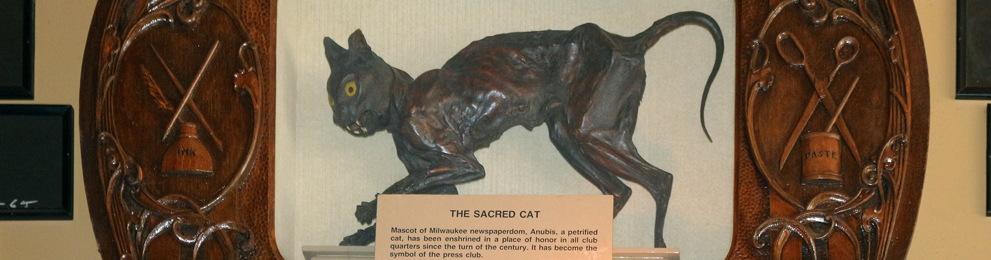 Anubis the Cat - Milwaukee Press Club